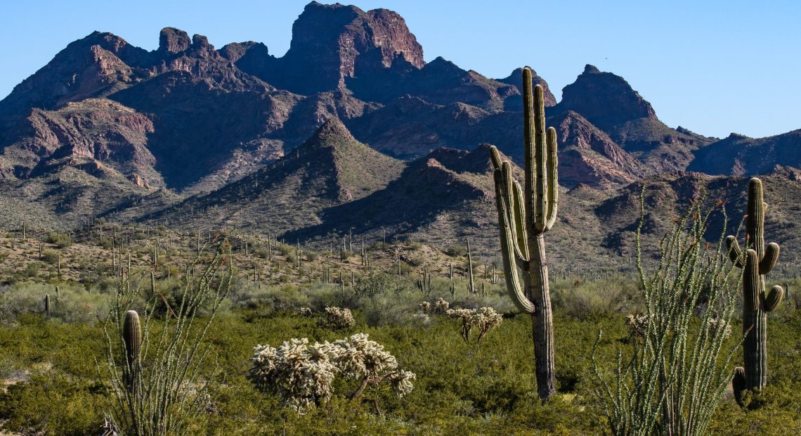 El muro de Donald Trump pone en riesgo la naturaleza - Arizona ...