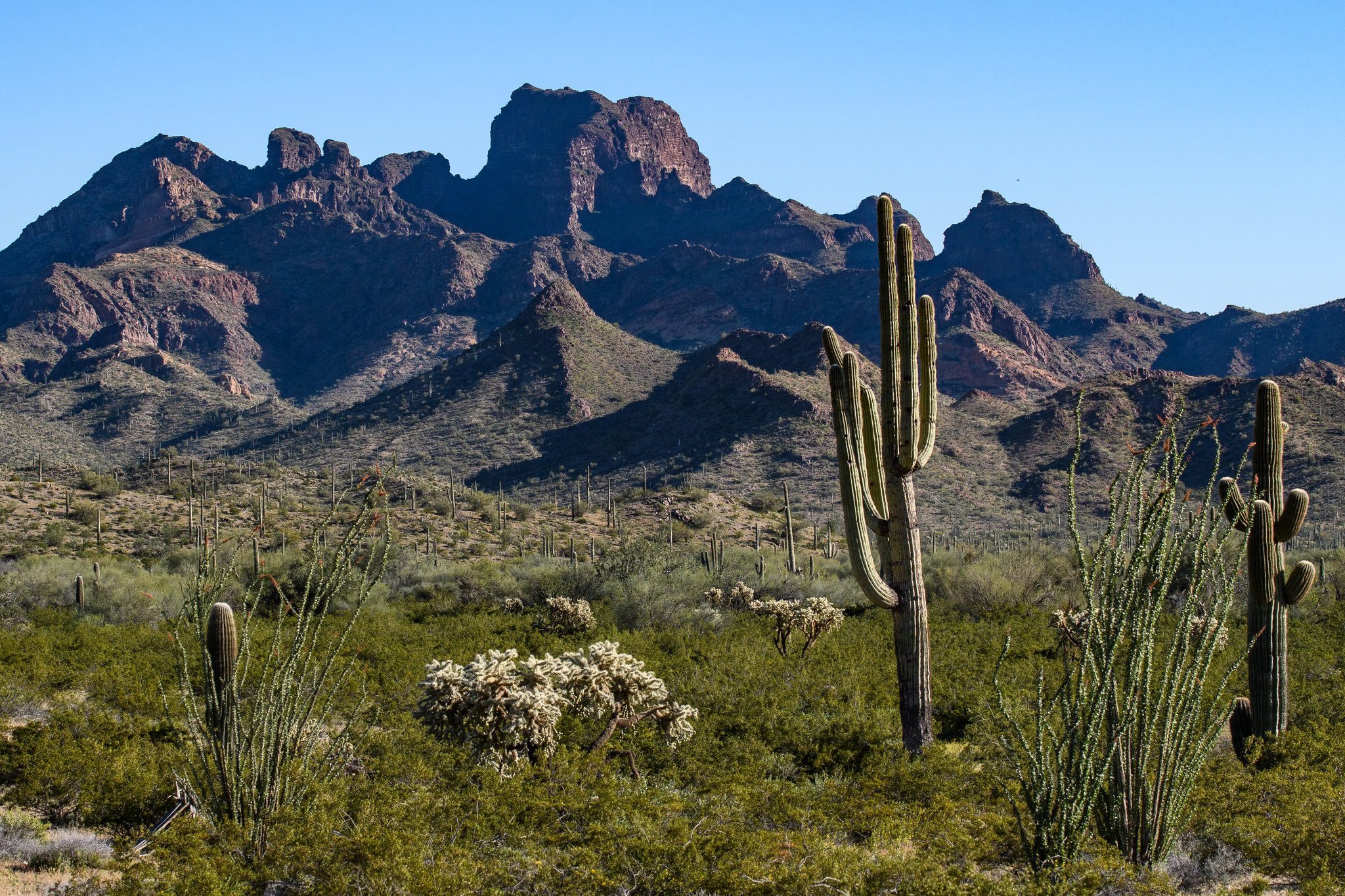 El muro de Donald Trump pone en riesgo la naturaleza - Arizona ...